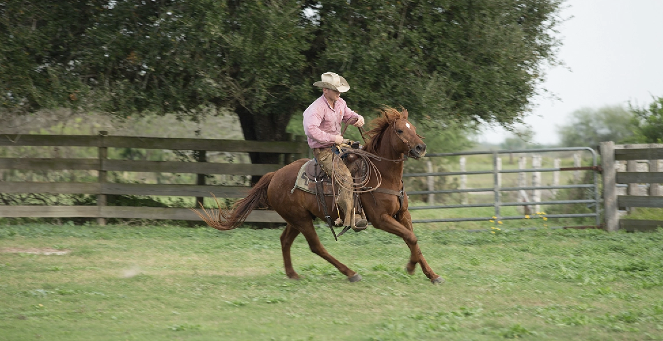 Sprouting Gear Inc. Welcomes James Clement III as Advisor - Sprouting Gear