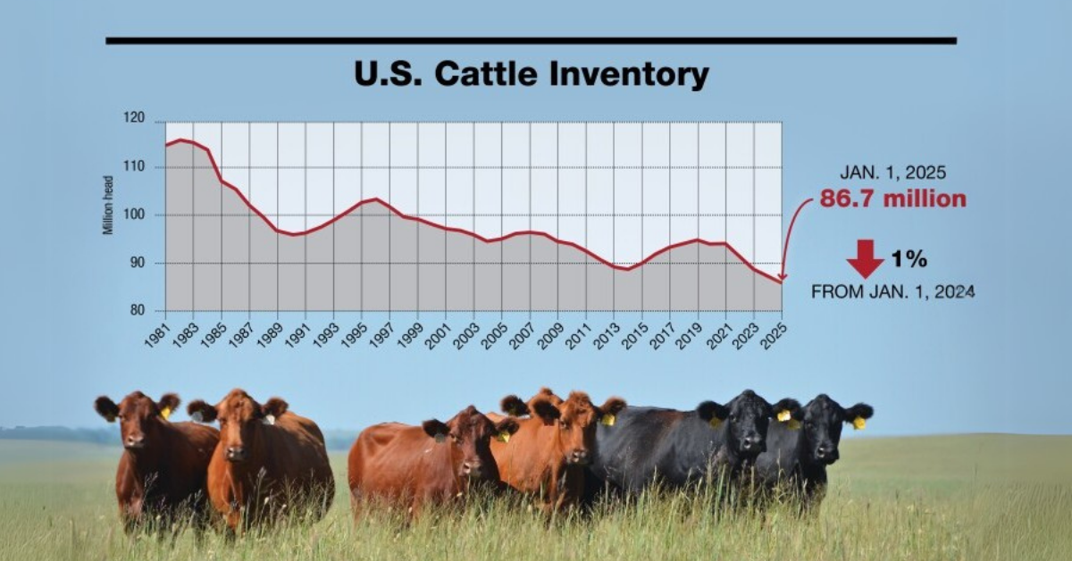 Sprouting Gear's Hydroponic Cattle System Cuts Feed Costs